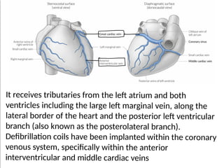 Journal - Anatomy of the coronary sinus.pptx