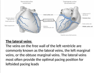 Journal - Anatomy of the coronary sinus.pptx