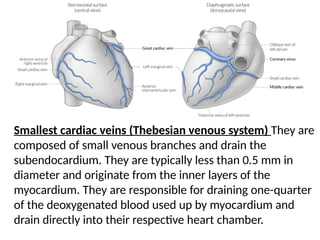 Journal - Anatomy of the coronary sinus.pptx