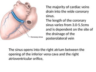Journal - Anatomy of the coronary sinus.pptx