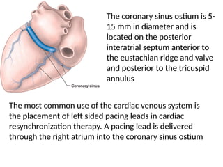 Journal - Anatomy of the coronary sinus.pptx