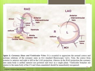 Coronary sinus anatomy | PPTX