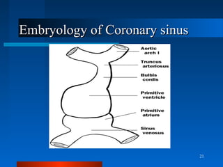Coronary sinus review | PPT