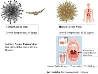 Coronavirus | PPT