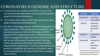 Corona virus brief introduction | PPT