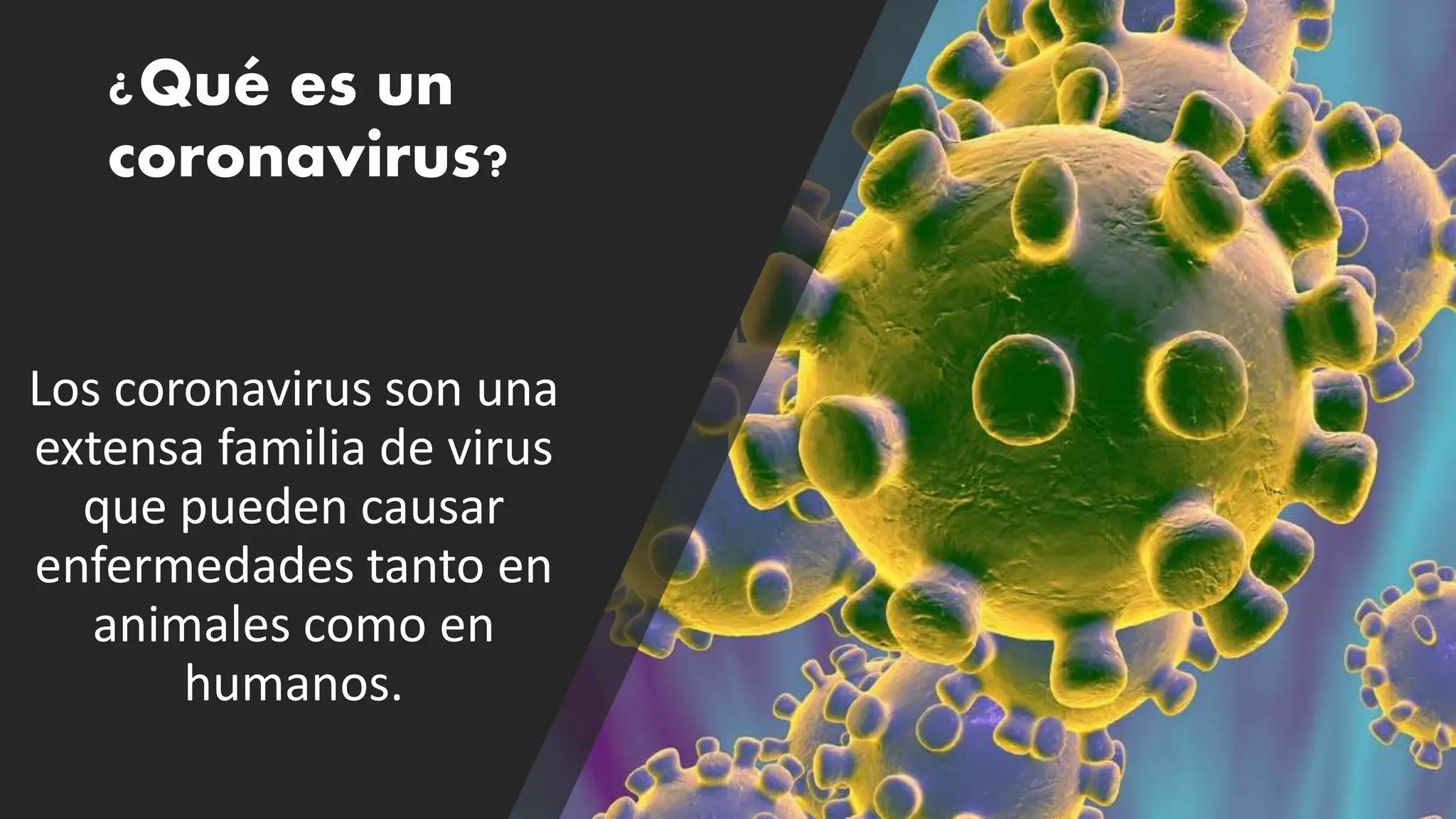 Coronavirus (COVID-19) Virus que causan enfermedades infecciosa tanto ...