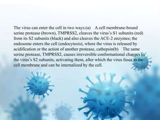 Coronavirus (covid 19) | PPTX