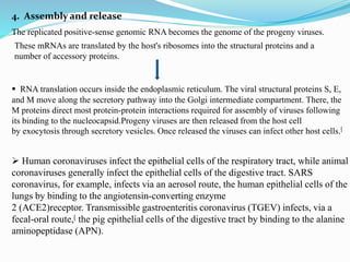 Coronavirus(covid 19) | PPTX | Infectious Diseases | Diseases and ...