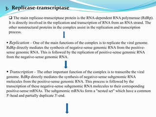 Coronavirus(covid 19) | PPTX | Infectious Diseases | Diseases and ...