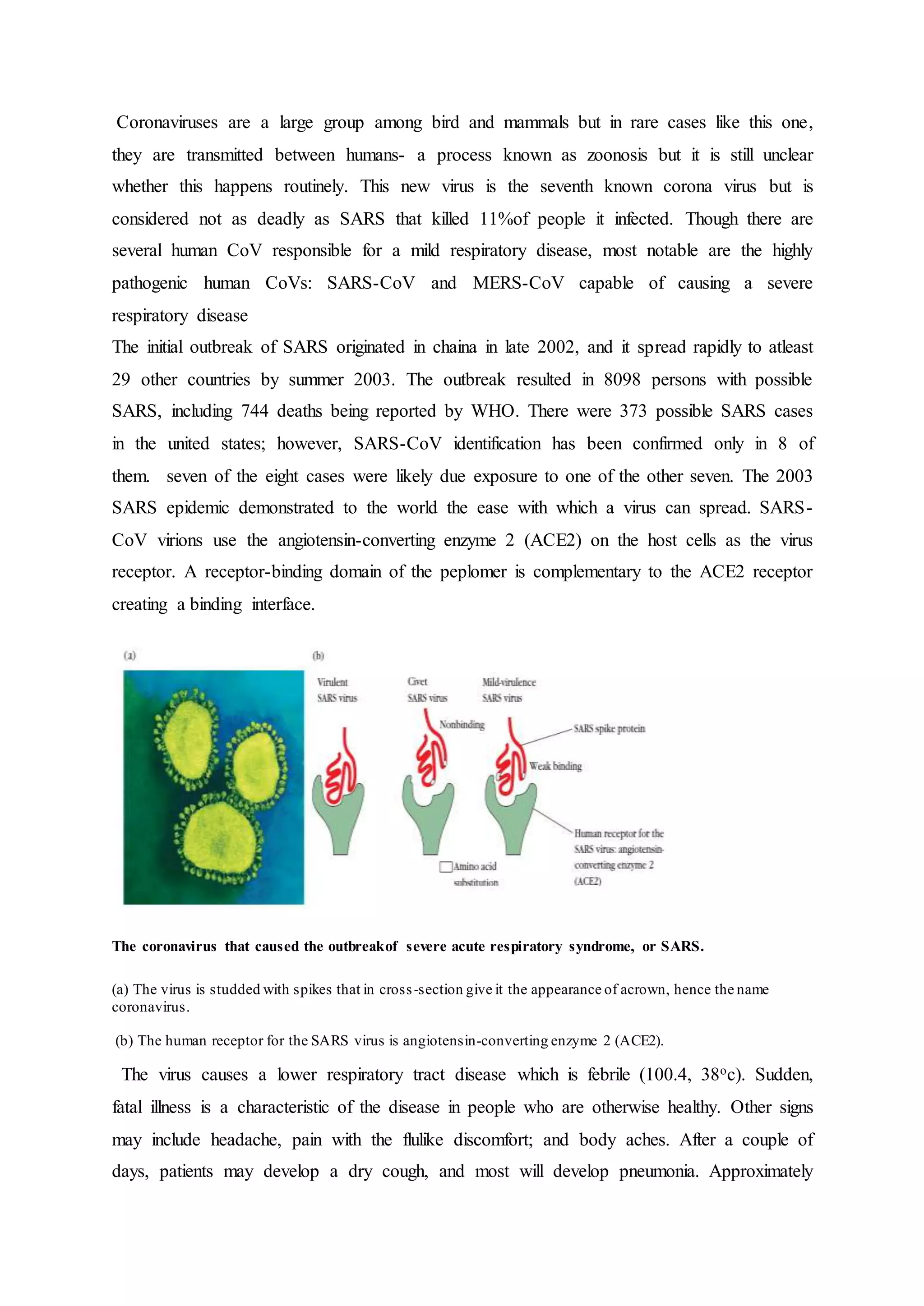 Coronaviruses | DOCX