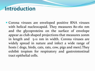 Corona viruses | PPTX