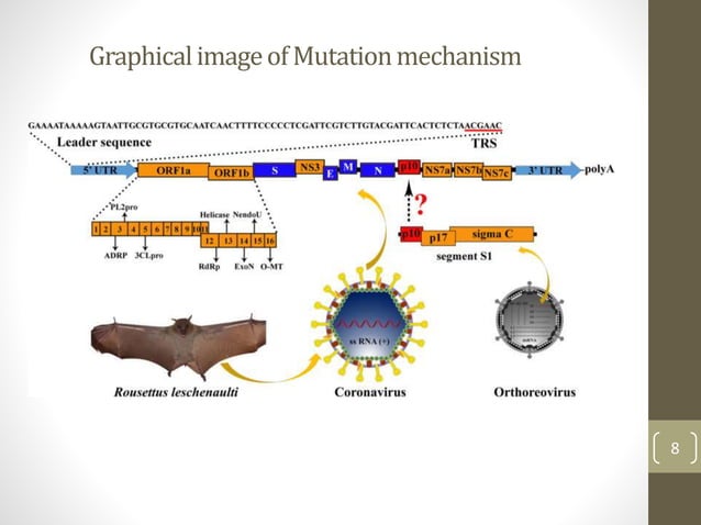 Corona virus mutation mechanism #SCIENCE_ADDA | PPT