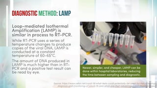 Coronavirus Pandemic Part III (A): Diagnostic Technologies | PDF