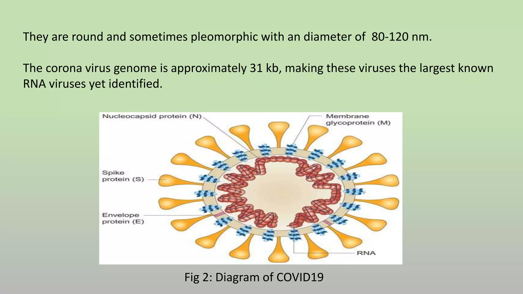 History, general features, mode of transmission and prevention of COVID ...