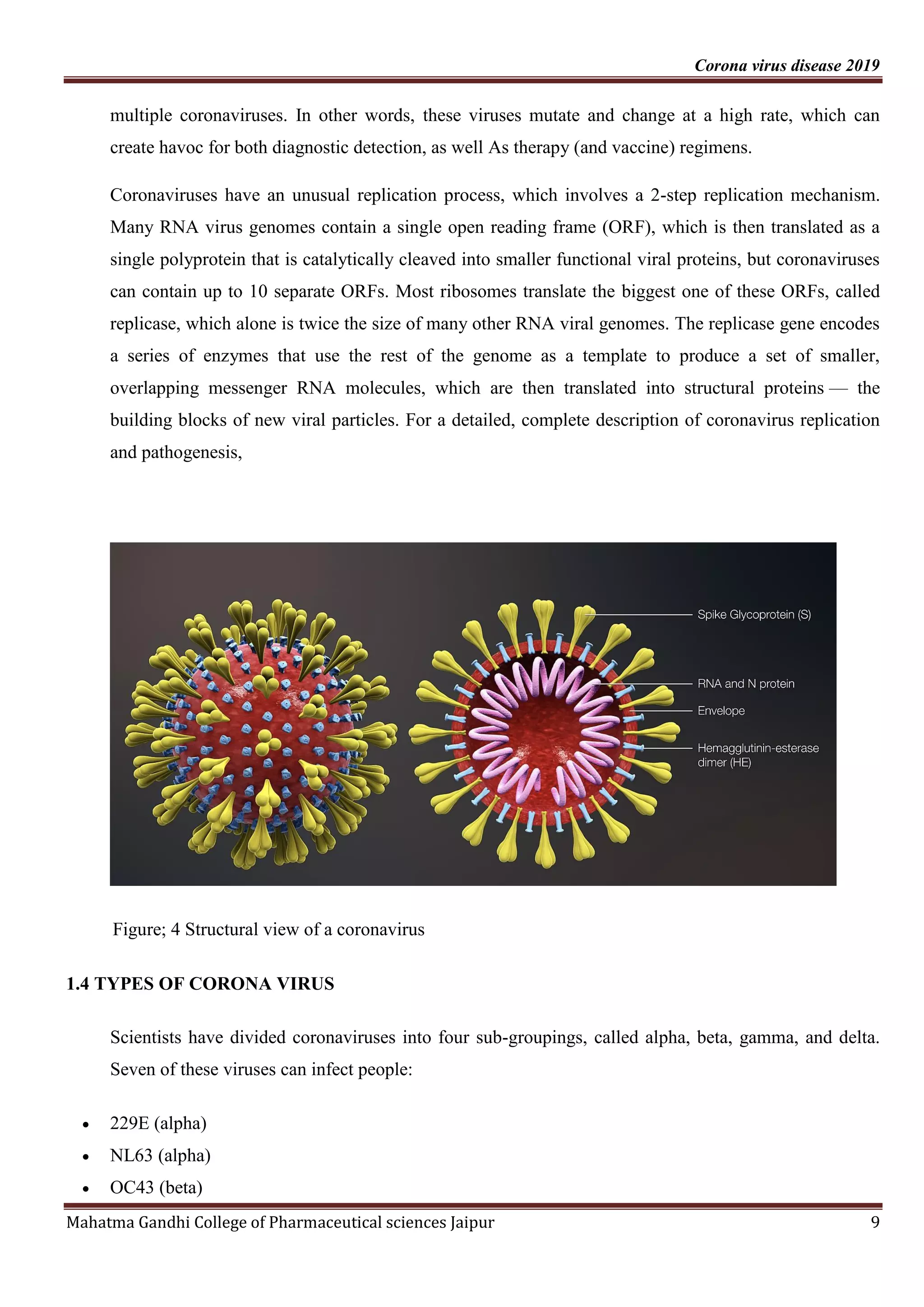 CORONA VIRUS PROJECT | PDF