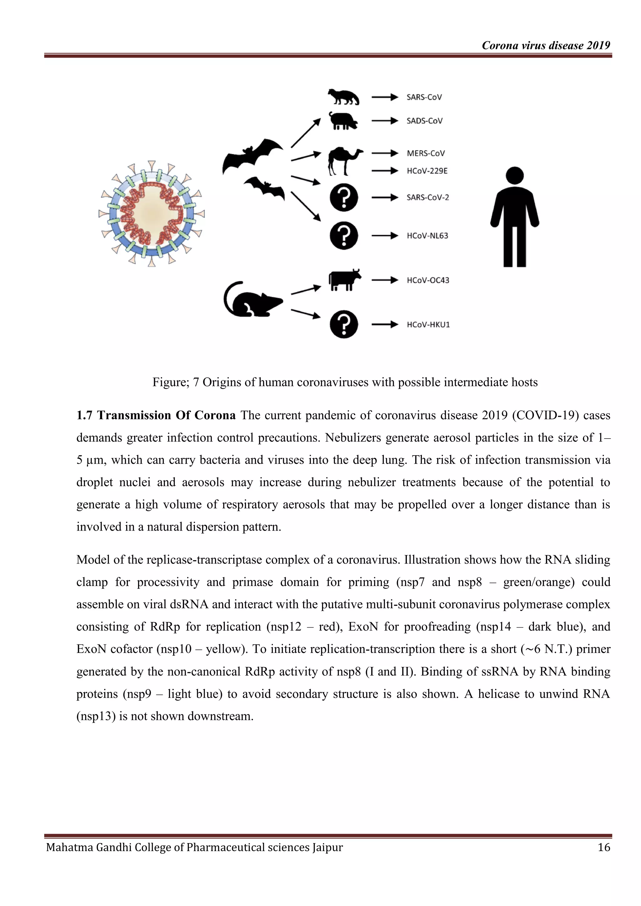 CORONA VIRUS PROJECT | PDF