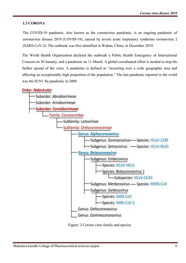 CORONA VIRUS PROJECT | PDF