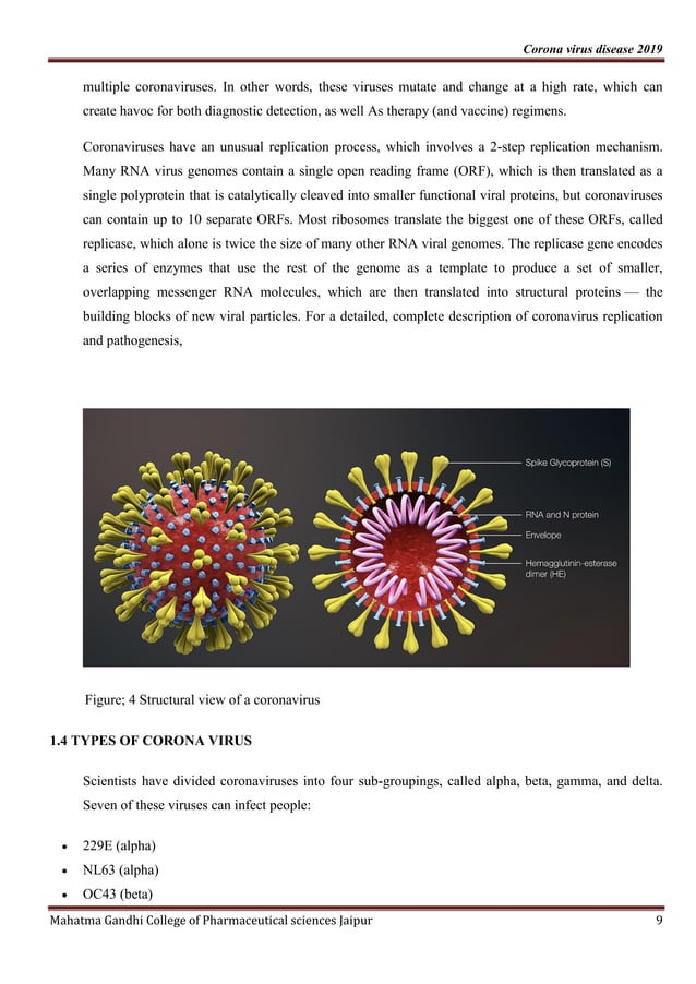 CORONA VIRUS PROJECT | PDF