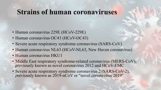 Corona Virus Basic Introduction | PPTX