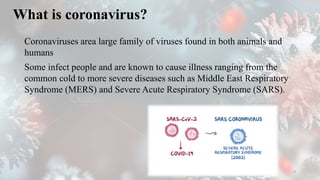 Corona Virus Basic Introduction | PPTX