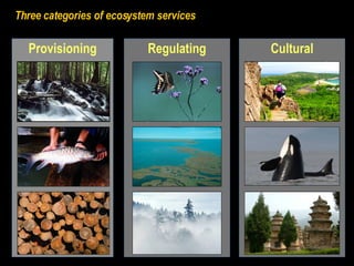 Corporate Ecosystem Services Review | PPT