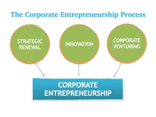The Concept of Corporate Entrepreneurship - Intrapreneurship | PDF