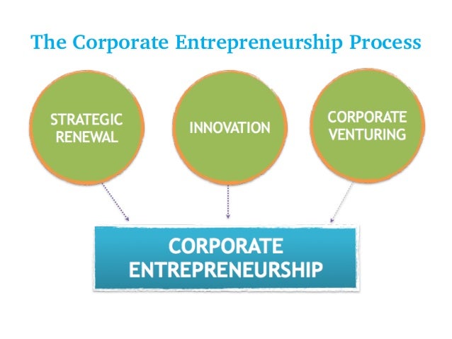 The Concept of Corporate Entrepreneurship - Intrapreneurship