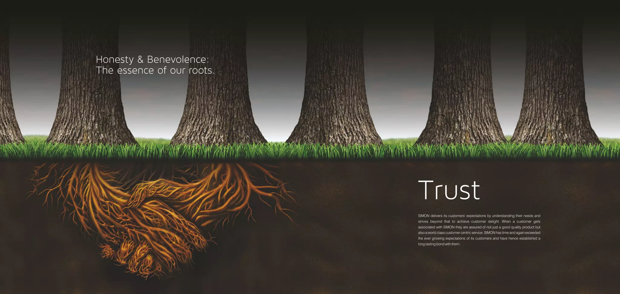 Company Profile | Simon Electric Pvt. Ltd. | PDF