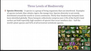 Corporate Biodiversity Management: A Framework | PPTX