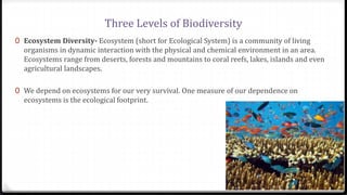 Corporate Biodiversity Management: A Framework | PPTX