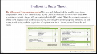 Corporate Biodiversity Management: A Framework | PPTX