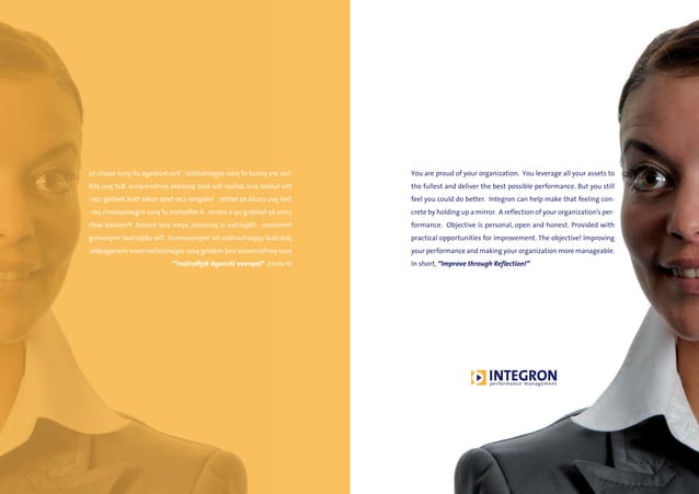Integron Research Customer Satisfaction | PDF | Business | Business and Finance