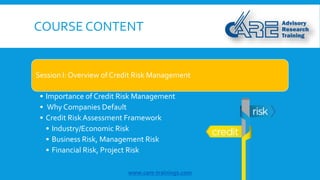 Corporate Credit Risk Assessment by CARE Training | PPTX | Business ...