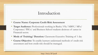 Corporate Credit Risk Assessment-Executive Training By CARE Advisory ...