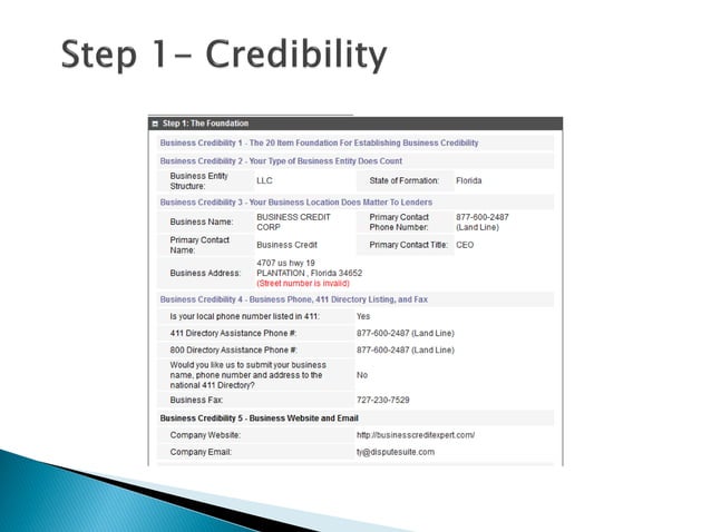 Corporate Credit Software System | PPT