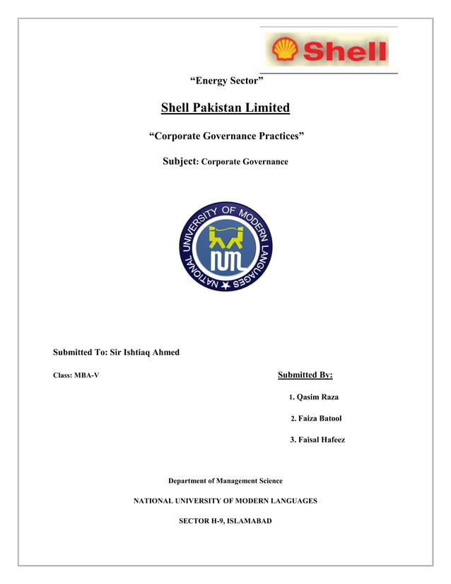 Corporate governance (shell pak) | PDF