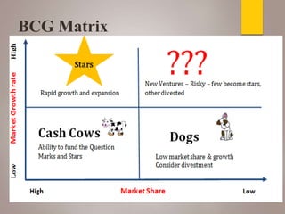 BCG MAtrix in Automobile Industry | PPTX