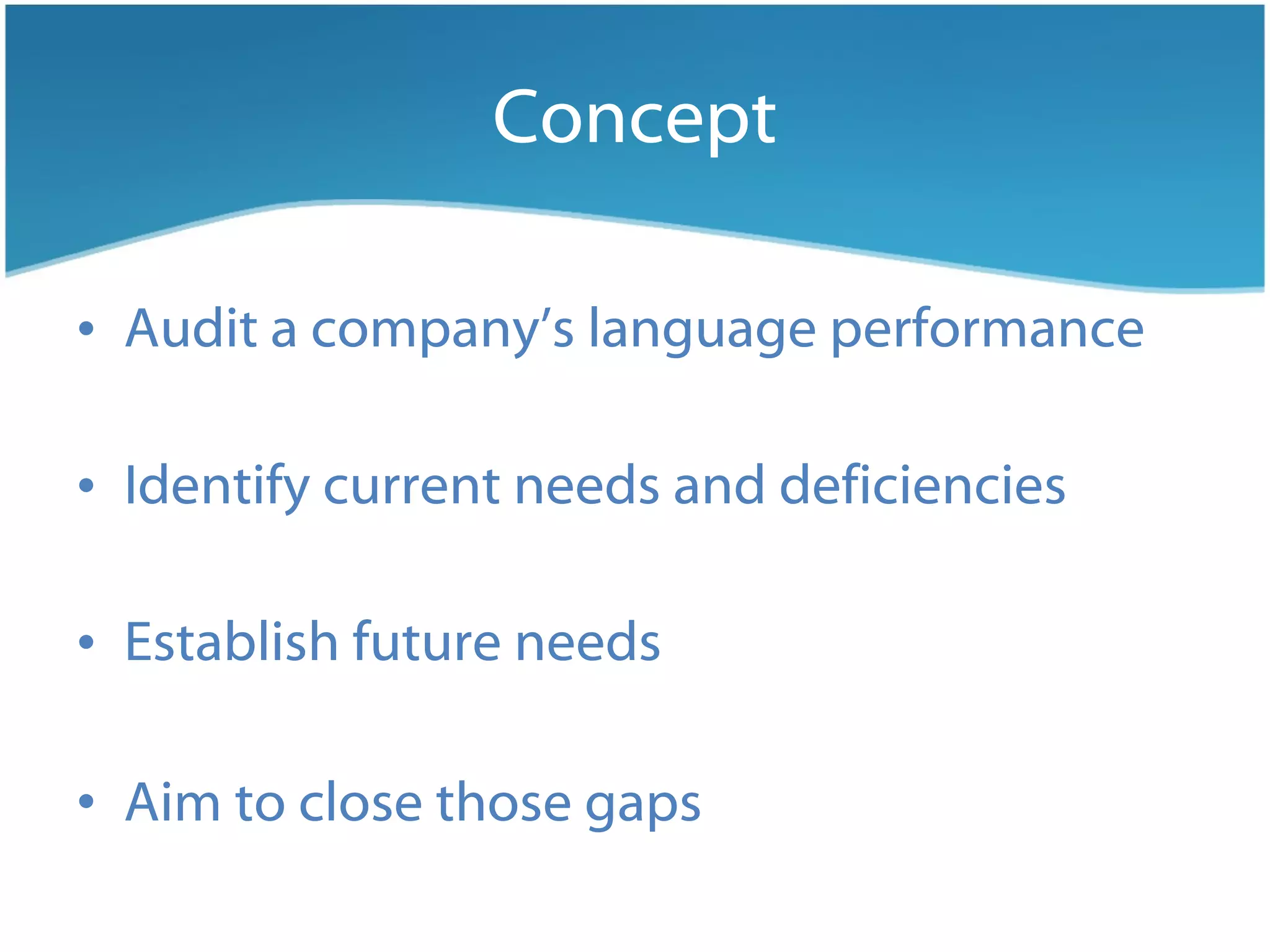 Corporate Language Audit | PPT