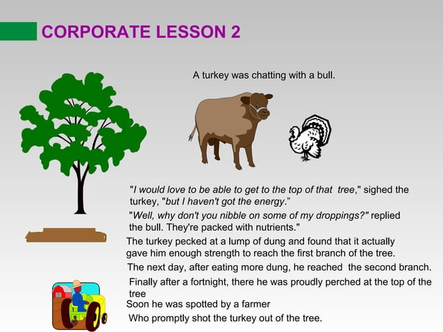 Corporate lessons | PPS | Cats | Pets