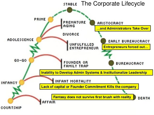 Managing Corporate life cycle