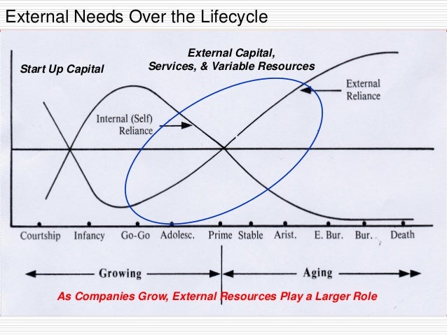 Managing Corporate life cycle