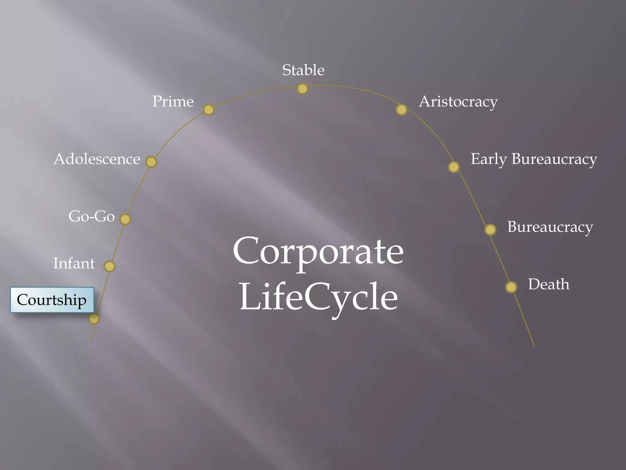 Corporate Lifecycle Presentation | PPTX | Business | Business and Finance
