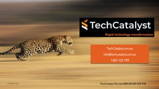 TechCatalyst Corporate Overview | PPT