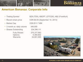 American Bonanza | PDF