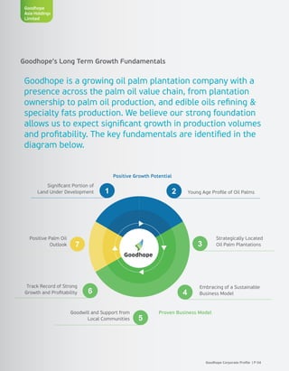 Goodhope Asia Holdings Ltd Singapore | PDF