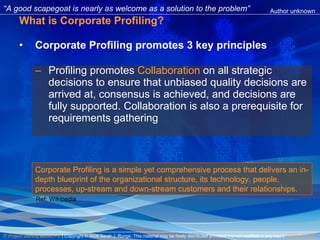 IT Project Success through Corporate Profiling | PPT