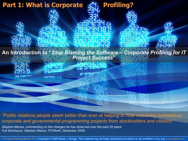 Minimizing Business Risk in IT Projects | PPT