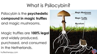 Legal Psilocybin Retreats to Boost Creativity and Employee Happiness | PPT