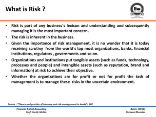 Corporate Risk Management | PDF