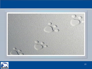 Preferred Freezer Services | PPT